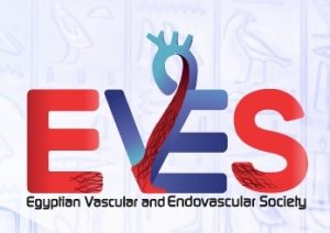 EVES Workshops 2025 – Payments